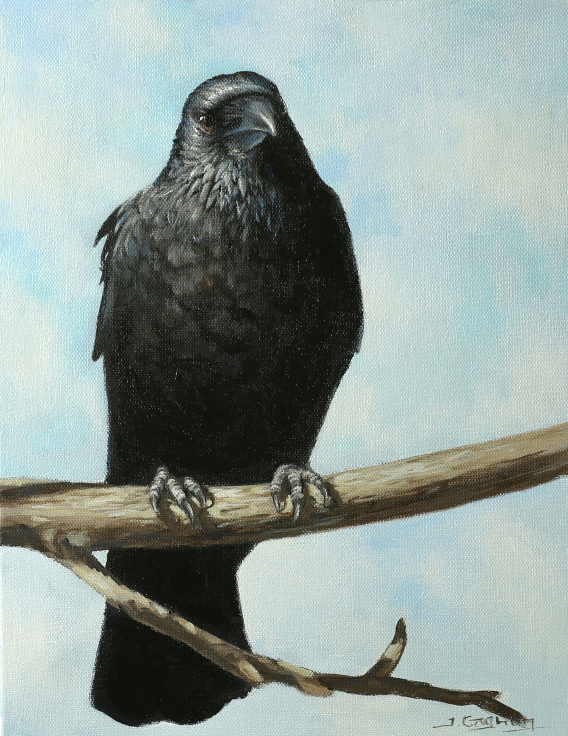 The Curious Raven - an acrylic painting lesson DVD | Tim Gagnon Studio
